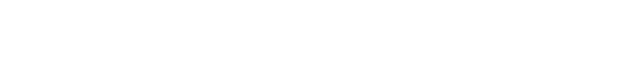 AURUM bike for gravel: MANTO