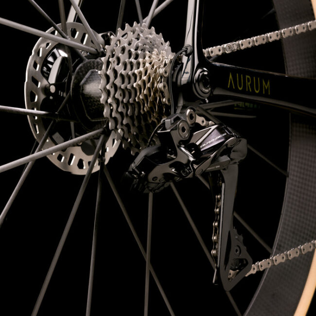 AURUM Bikes - MAGMA: Speed, Precision & Style.