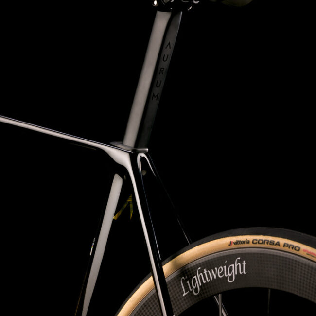 AURUM Bikes - MAGMA: Speed, Precision & Style.